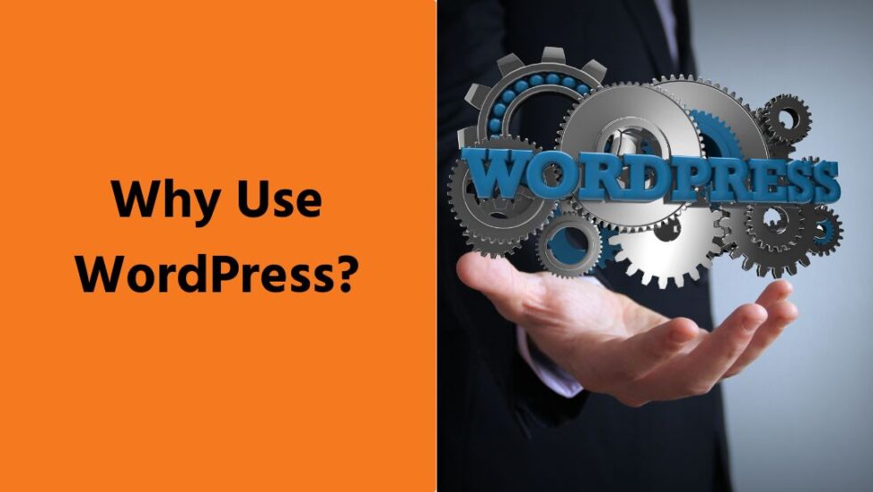 Why Use WordPress? - Lion Spirit Media